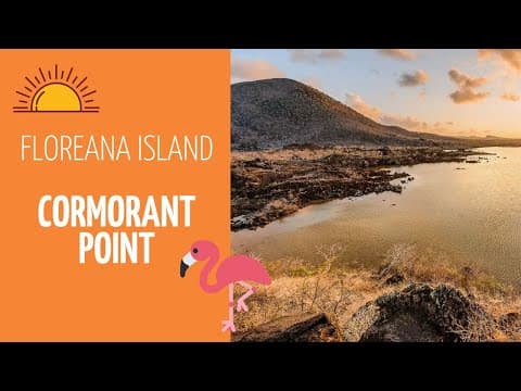 Cormorant Point | Galapatours