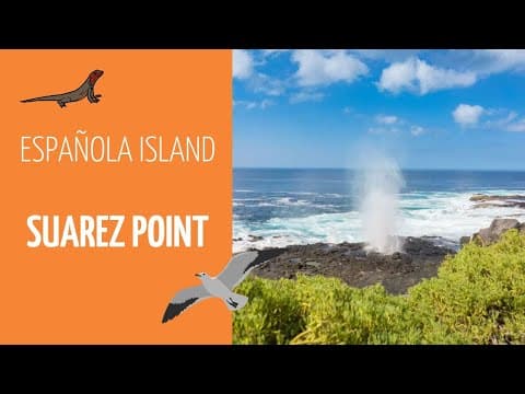 Suarez Point | Galapatours
