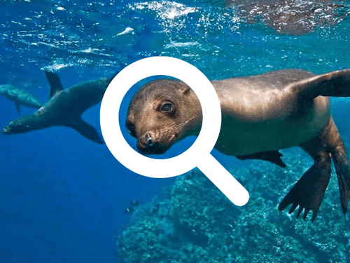 What are the entry requirements for Galapagos? | Galapatours