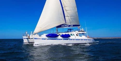 What are the entry requirements for Galapagos? | Galapatours